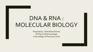 DNA & RNA | PPTX | Biological Sciences | Science