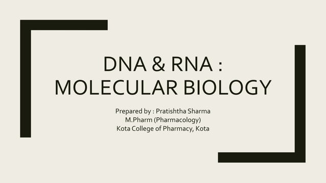 DNA & RNA | PPTX | Biological Sciences | Science