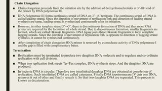 DNA & RNA | PPTX | Biological Sciences | Science