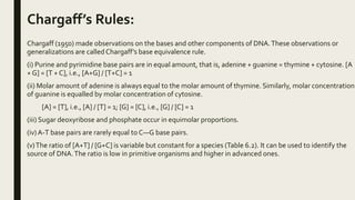 DNA & RNA | PPTX | Biological Sciences | Science
