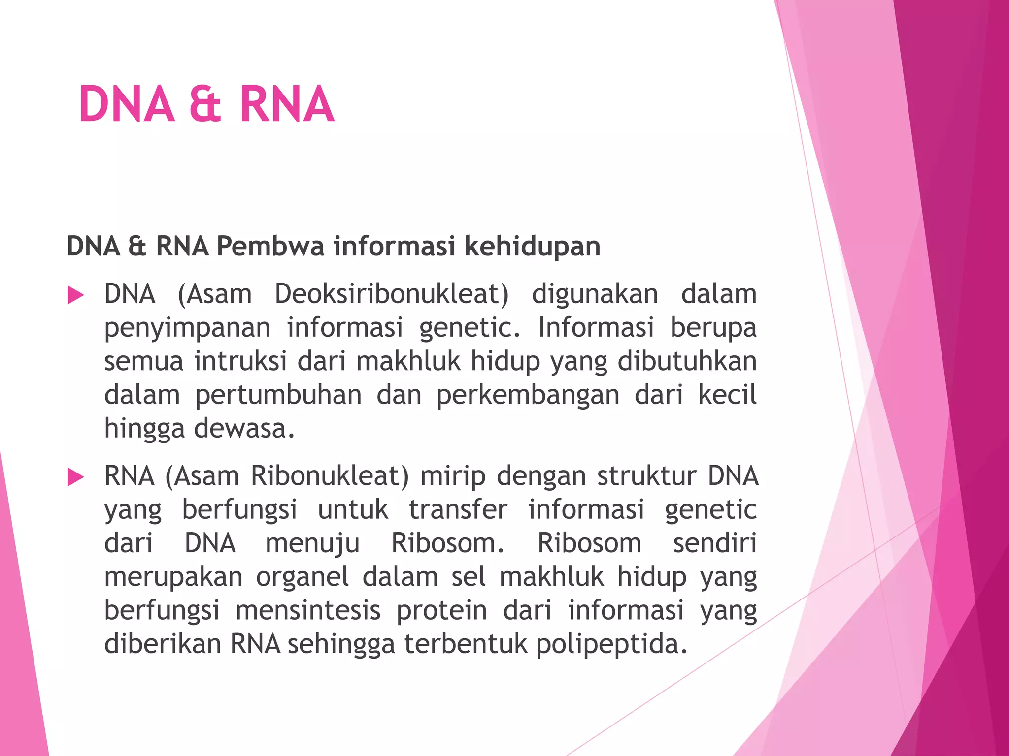 Biomolekul DNA & RNA | PPT