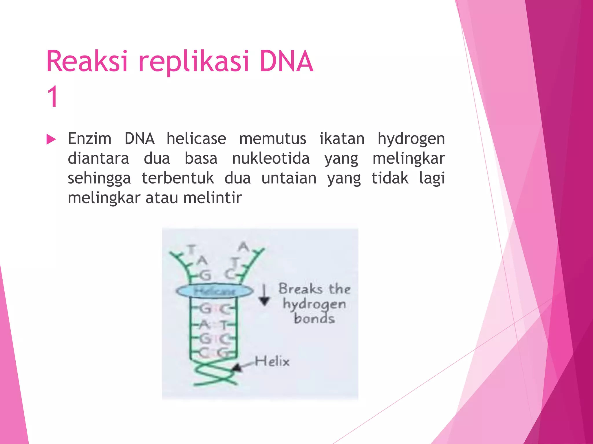 Biomolekul Dna And Rna Ppt