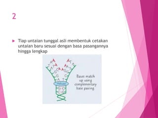 Biomolekul DNA & RNA | PPT