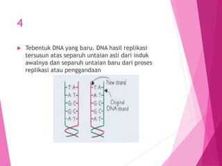 Biomolekul DNA & RNA | PPTX