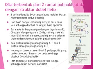 Biomolekul DNA & RNA | PPT