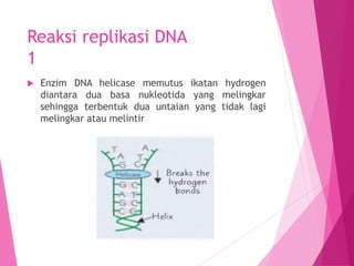 Biomolekul DNA & RNA | PPT