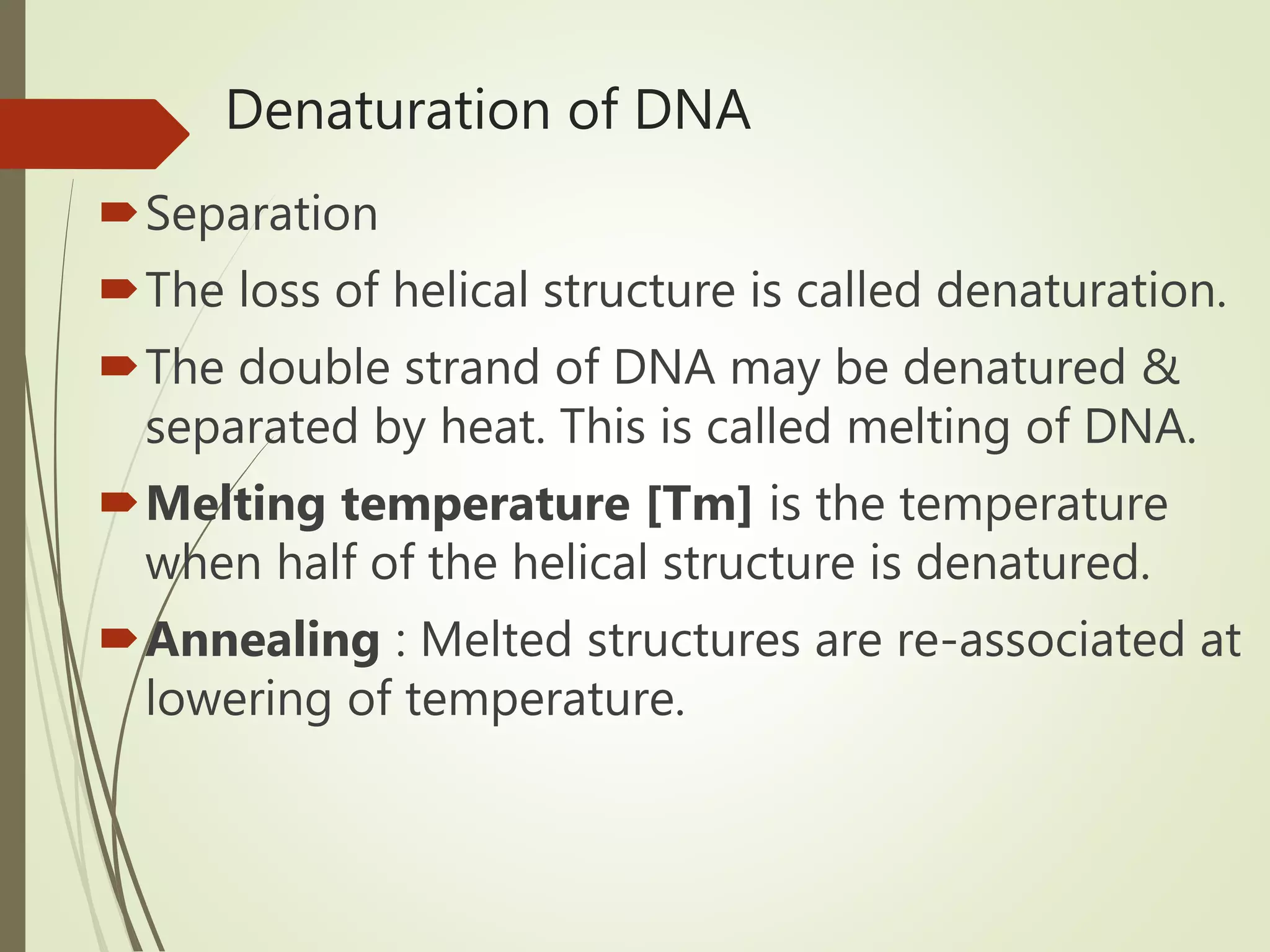 DNA & RNA | PPTX