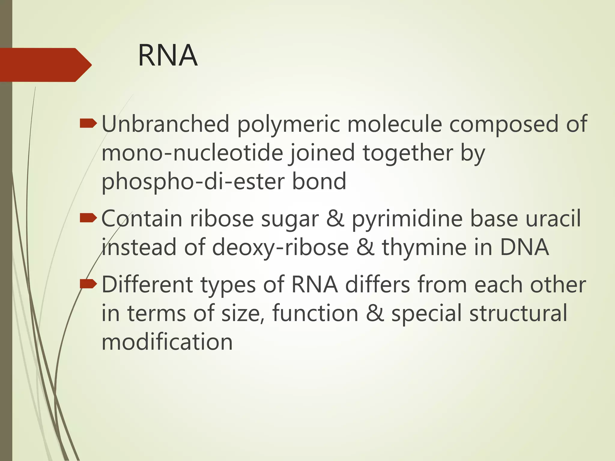 DNA & RNA | PPTX