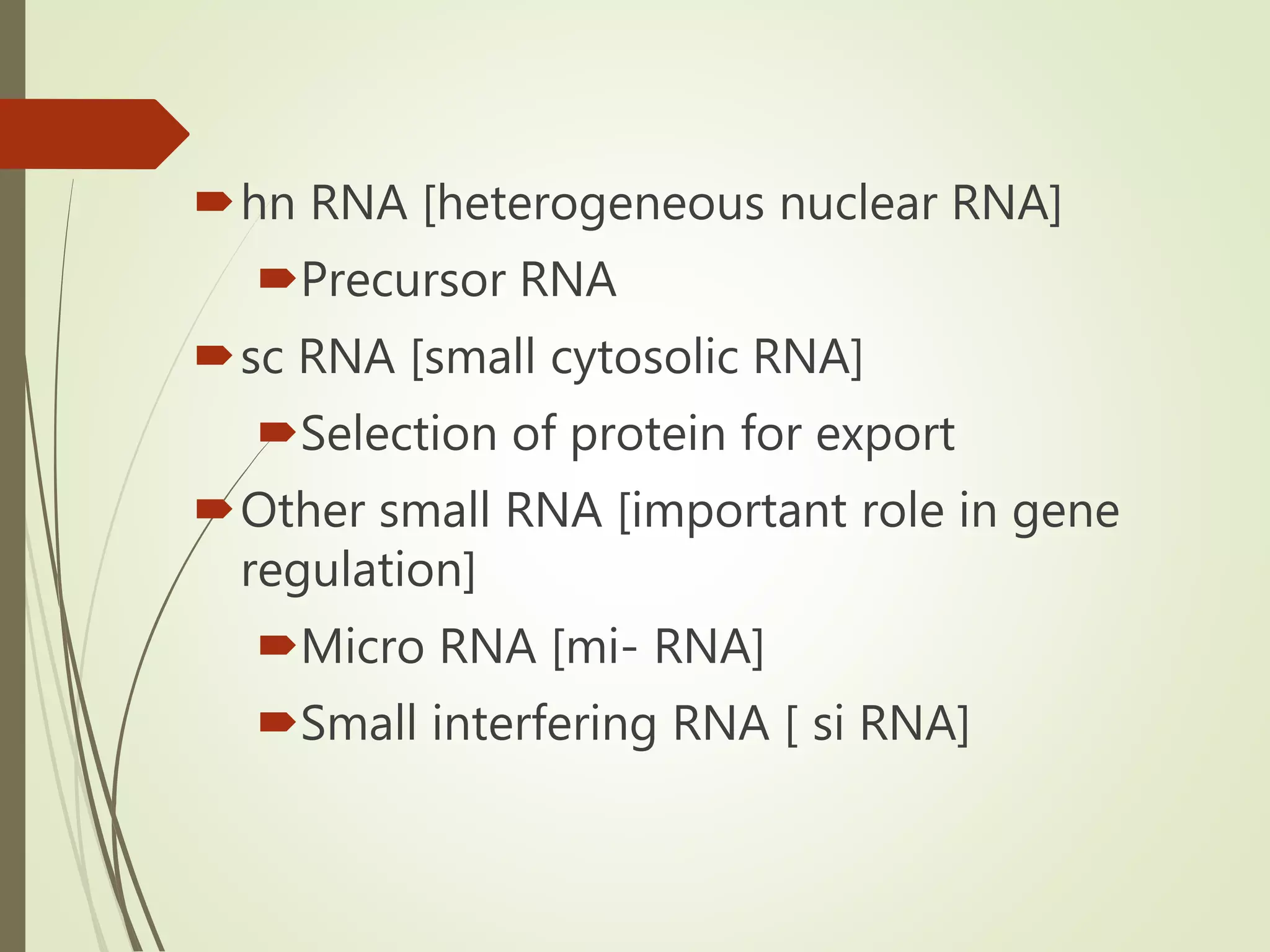 DNA & RNA | PPTX