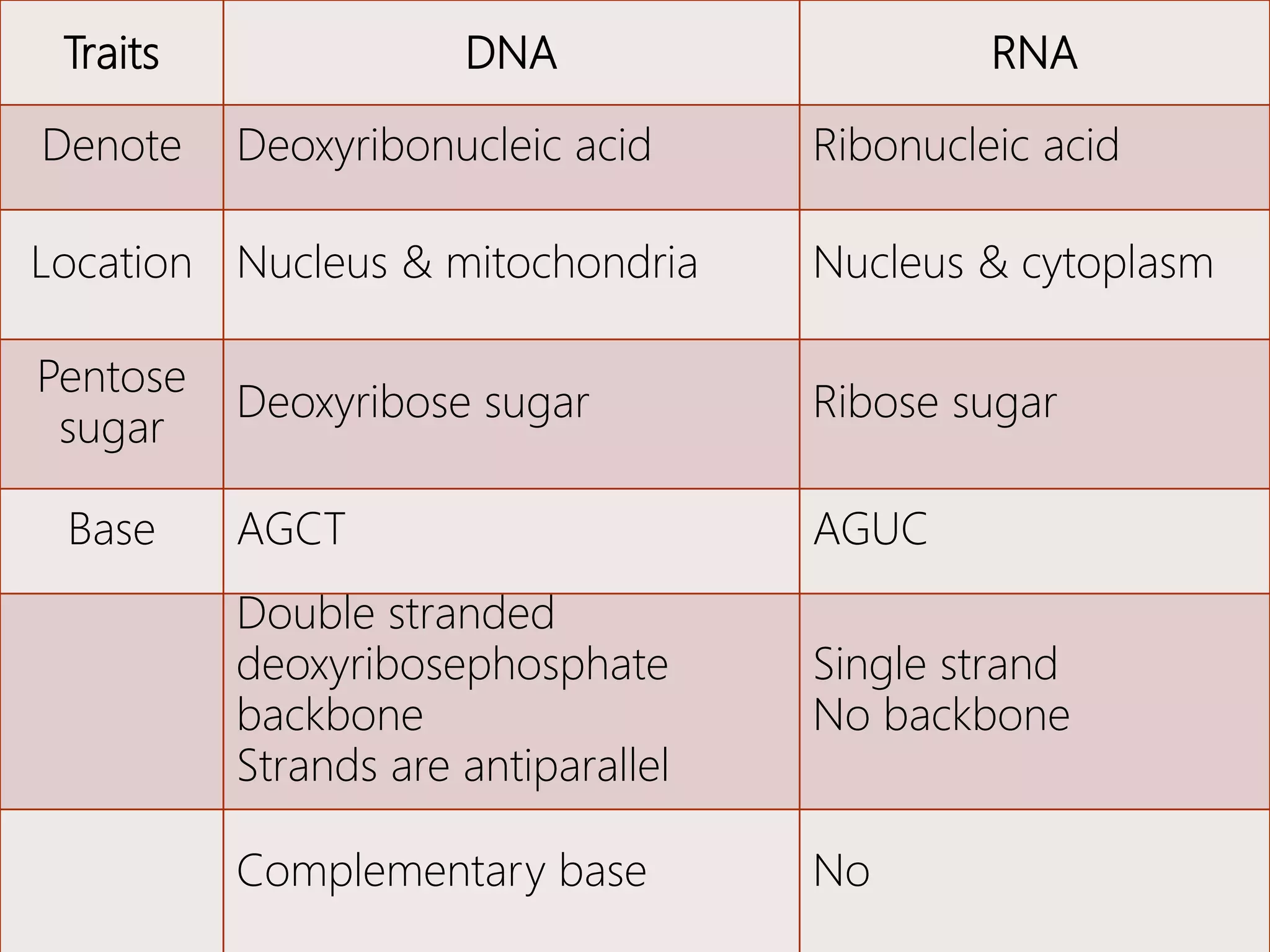 DNA & RNA | PPTX