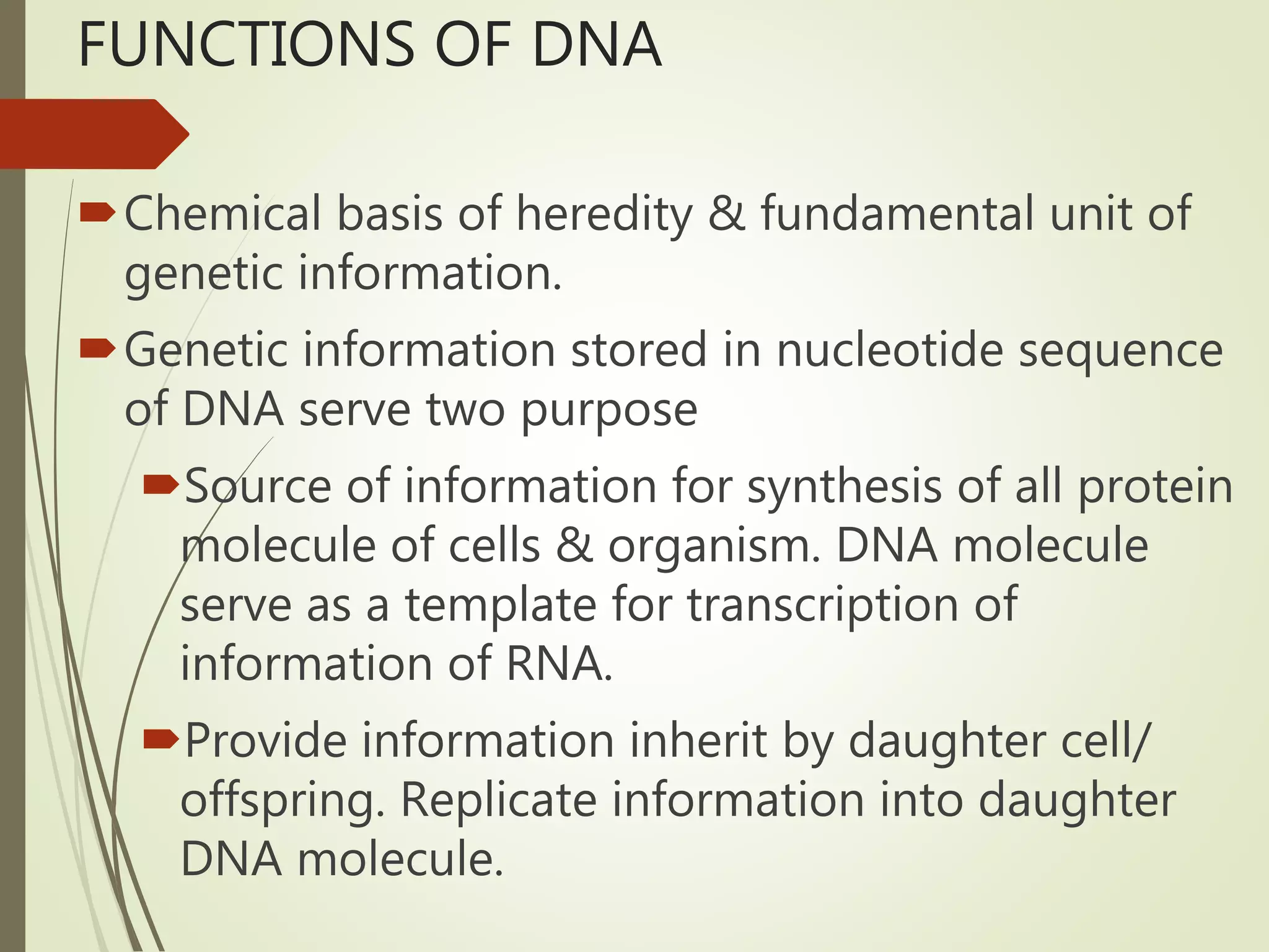DNA & RNA | PPTX