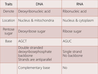 DNA & RNA | PPTX