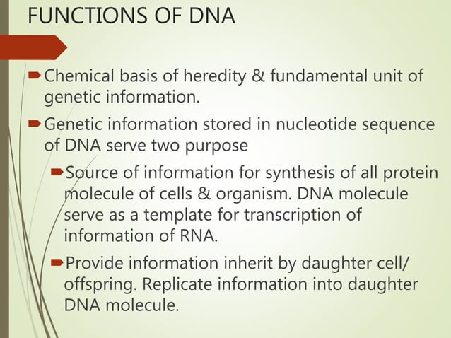 DNA & RNA | PPTX | Chemistry | Science