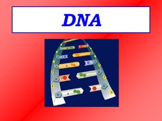 DNA_RNA_Blend kiseri dna project rna project | PPT