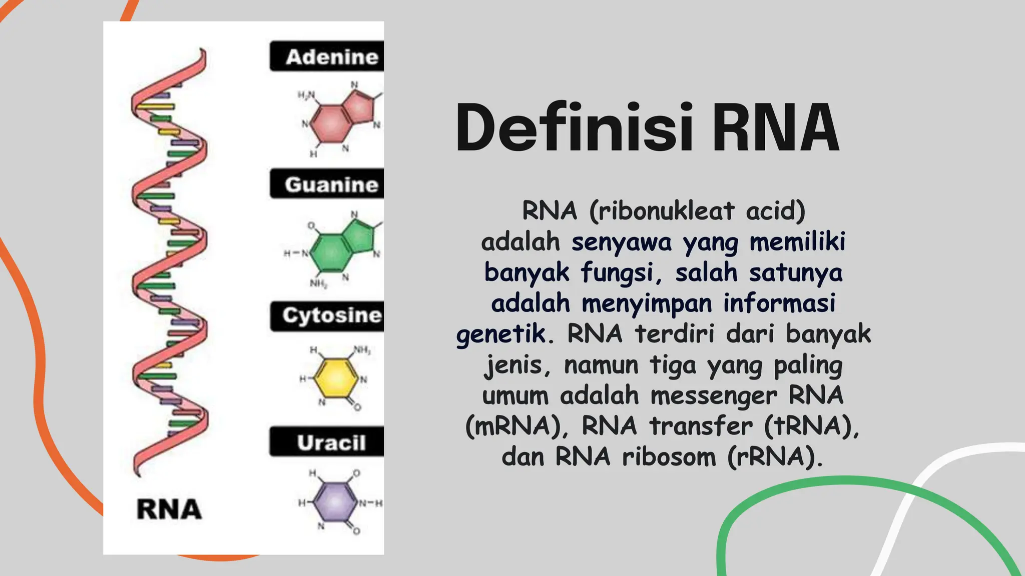TEMAN DNA,RNA, DAN SINTESIS PROTEIN.pptx