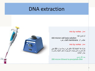 DNA & RNA extraction | PPT
