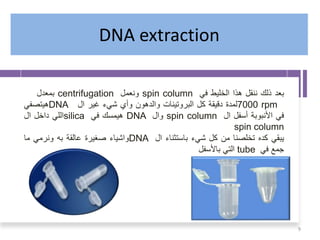 DNA & RNA extraction | PPSX