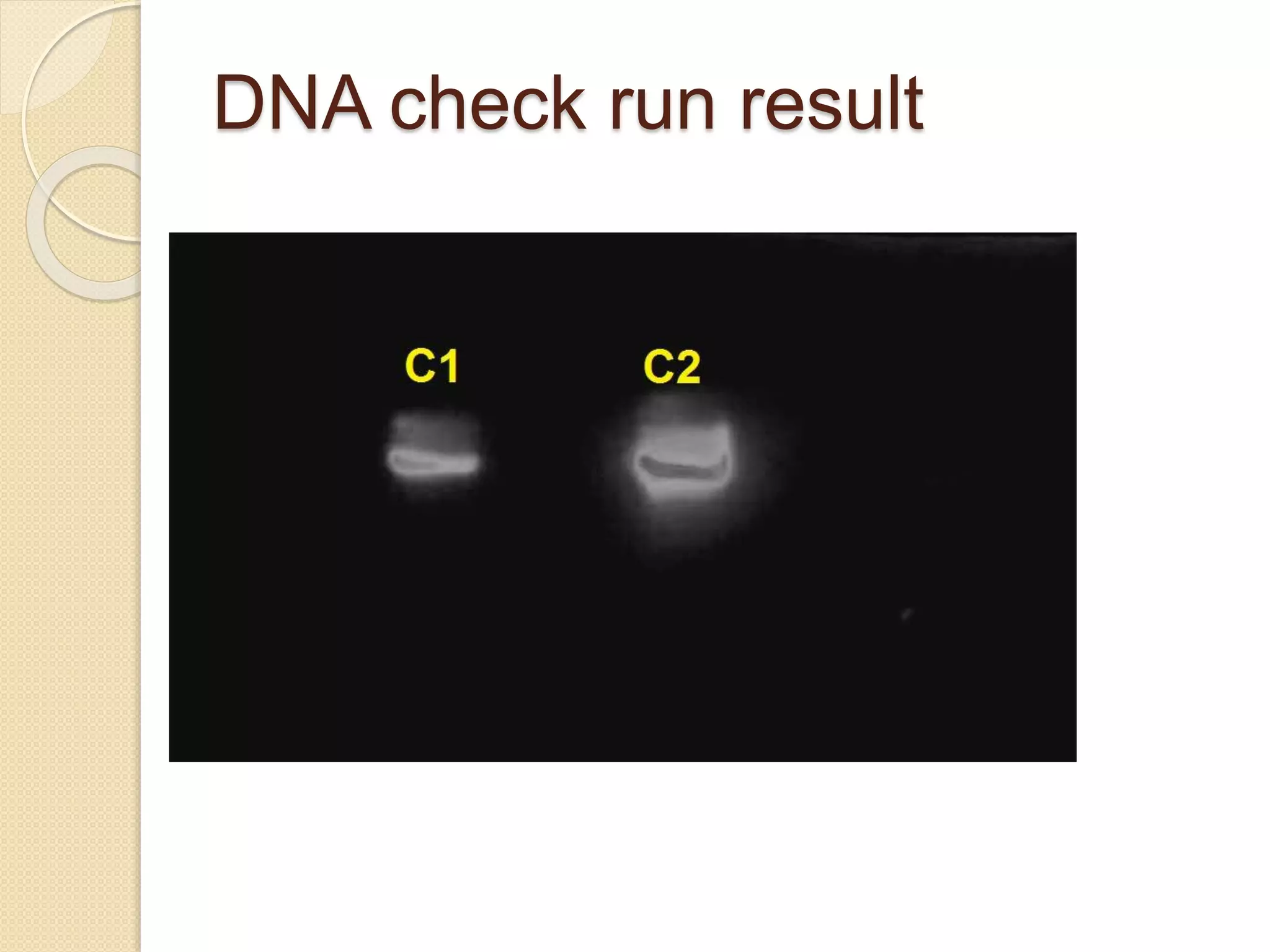 DNA & RNA isolation | PPTX