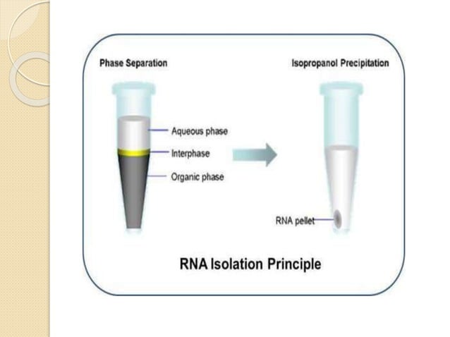 Dna And Rna Isolation Pptx
