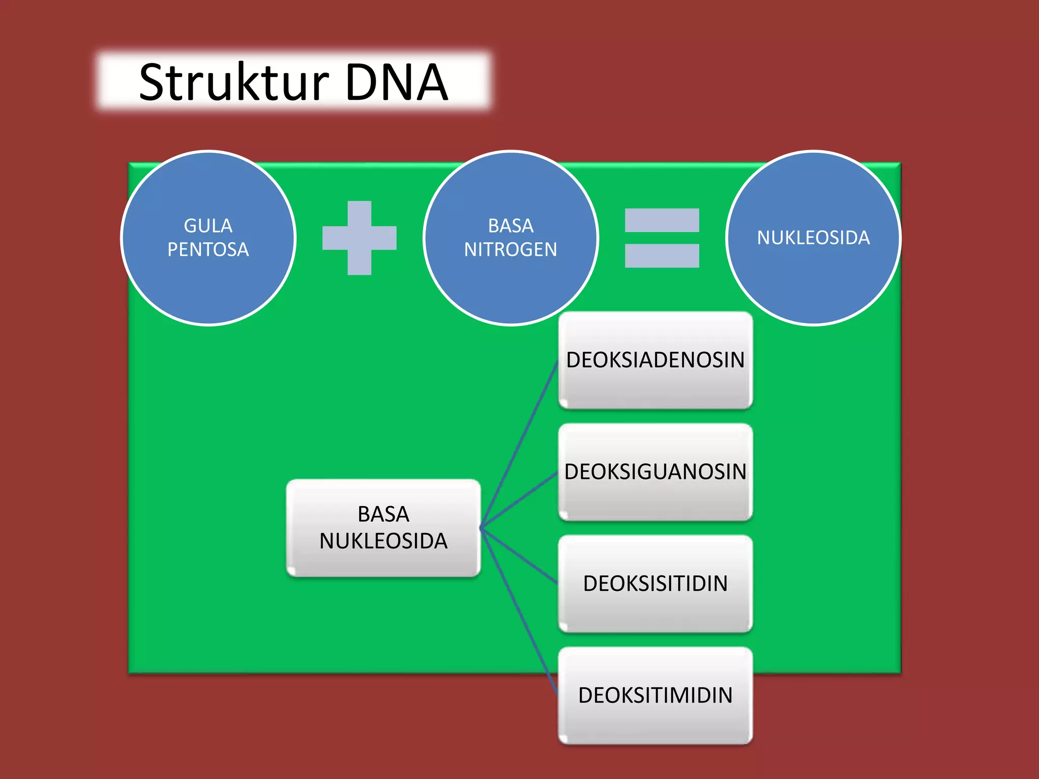 Materi Genetik (DNA & RNA) | PPTX