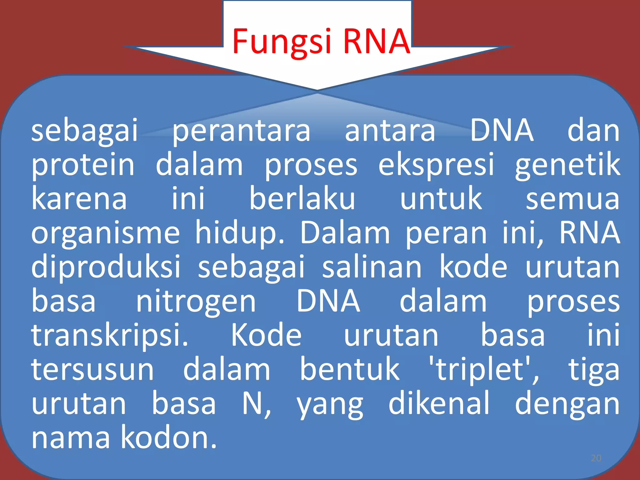 Materi Genetik (DNA & RNA) | PPTX