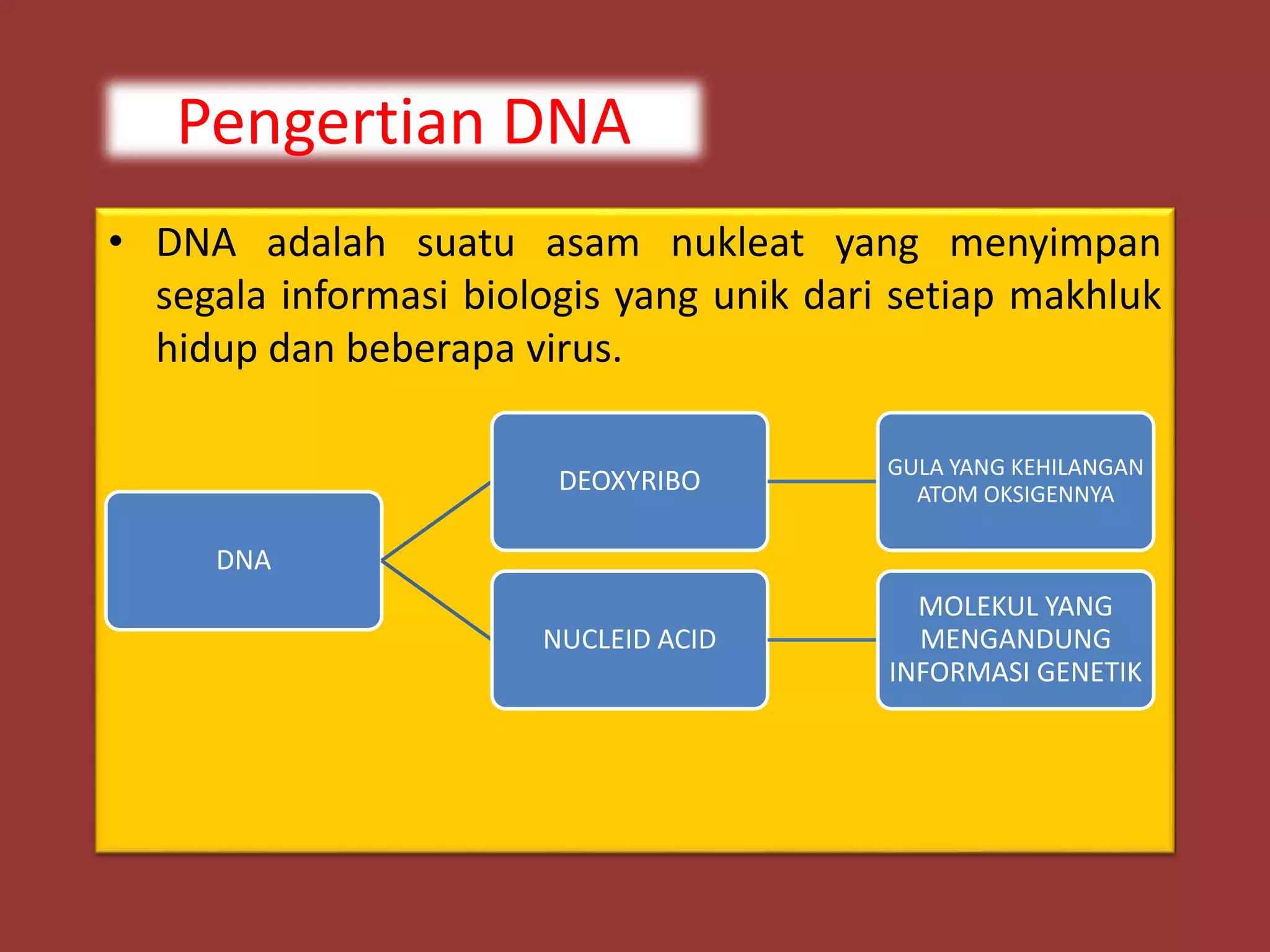 Materi Genetik (DNA & RNA) | PPTX