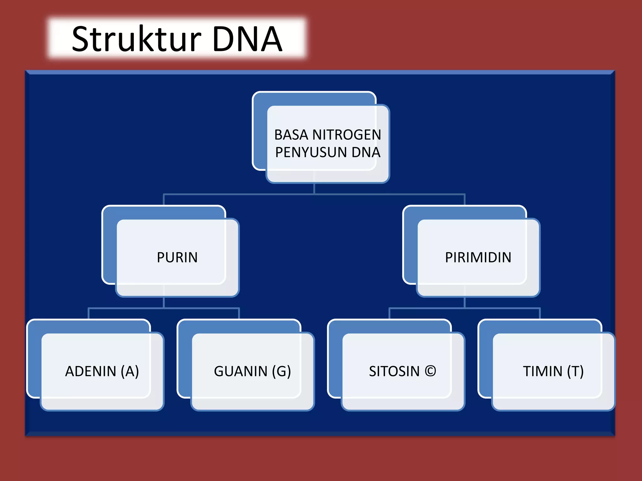 Materi Genetik (DNA & RNA) | PPTX