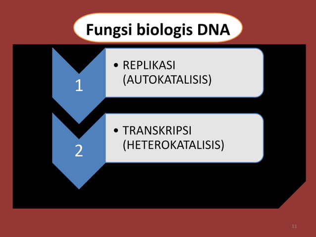 Materi Genetik (DNA & RNA) | PPTX