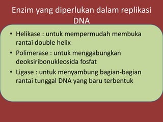 Materi Genetik (DNA & RNA) | PPTX