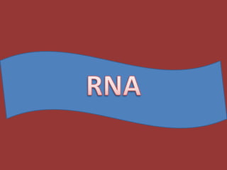 Materi Genetik (DNA & RNA) | PPTX