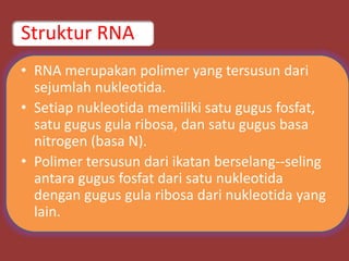 Materi Genetik (DNA & RNA) | PPTX
