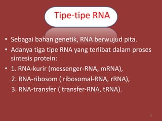 Materi Genetik (DNA & RNA) | PPTX