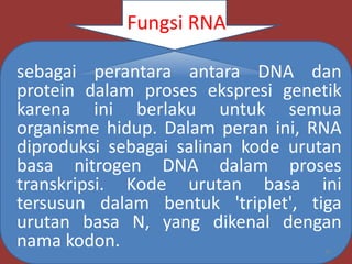 Materi Genetik (DNA & RNA) | PPTX