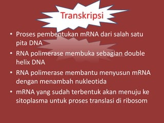 Materi Genetik (DNA & RNA) | PPTX
