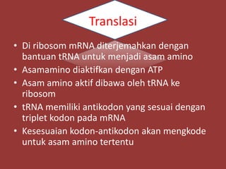 Materi Genetik (DNA & RNA) | PPTX