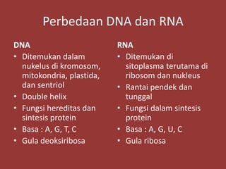 Materi Genetik (DNA & RNA) | PPTX