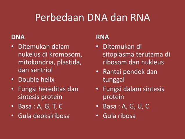 Materi Genetik (DNA & RNA) | PPTX