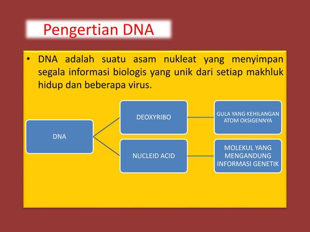 Materi Genetik (DNA & RNA) | PPTX