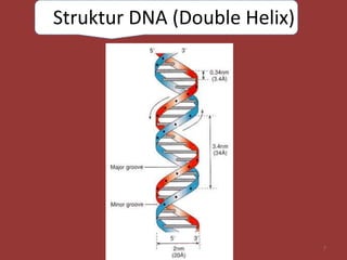 Materi Genetik (DNA & RNA) | PPTX