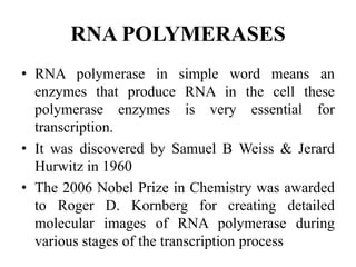 Dna & rna pol | PPTX