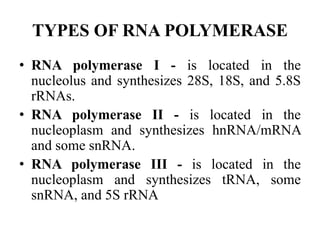 Dna & rna pol | PPTX