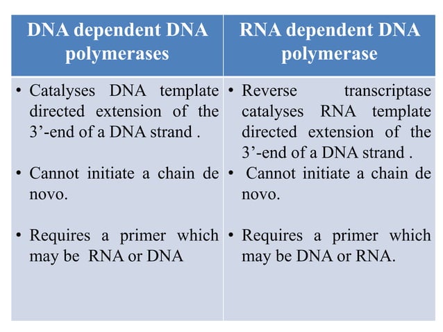 Dna & rna pol | PPTX | Chemistry | Science