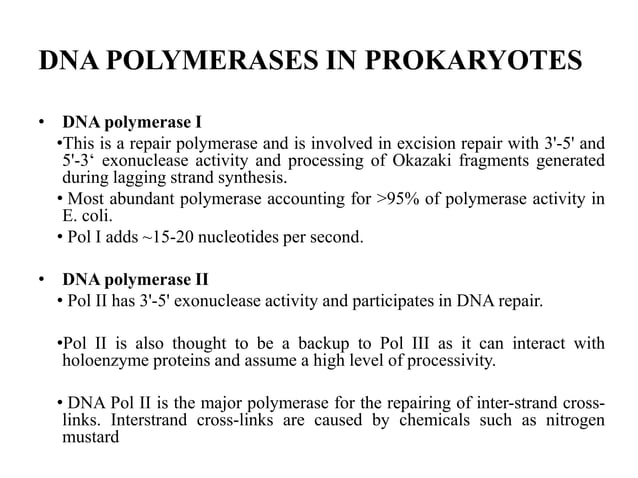 Dna & rna pol | PPTX | Chemistry | Science