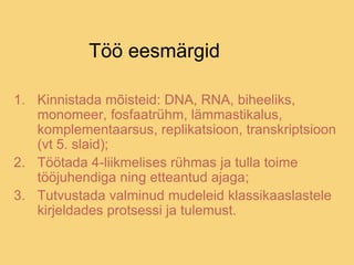 DNA mudeli ja RNA lõigu valmistamine | PPTX