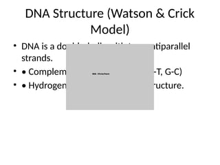 DNA_RNA_Presentation_with_Diagramsjgzitditdyd | PPTX