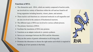 DNA, RNA, PROTEIN.pptx