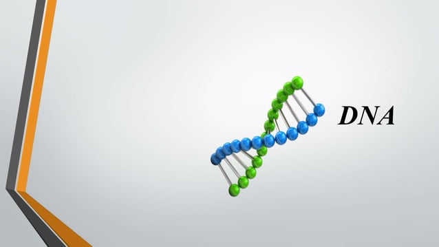 DNA, RNA, PROTEIN.pptx