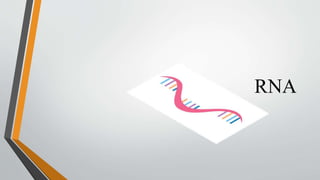 DNA, RNA, PROTEIN.pptx