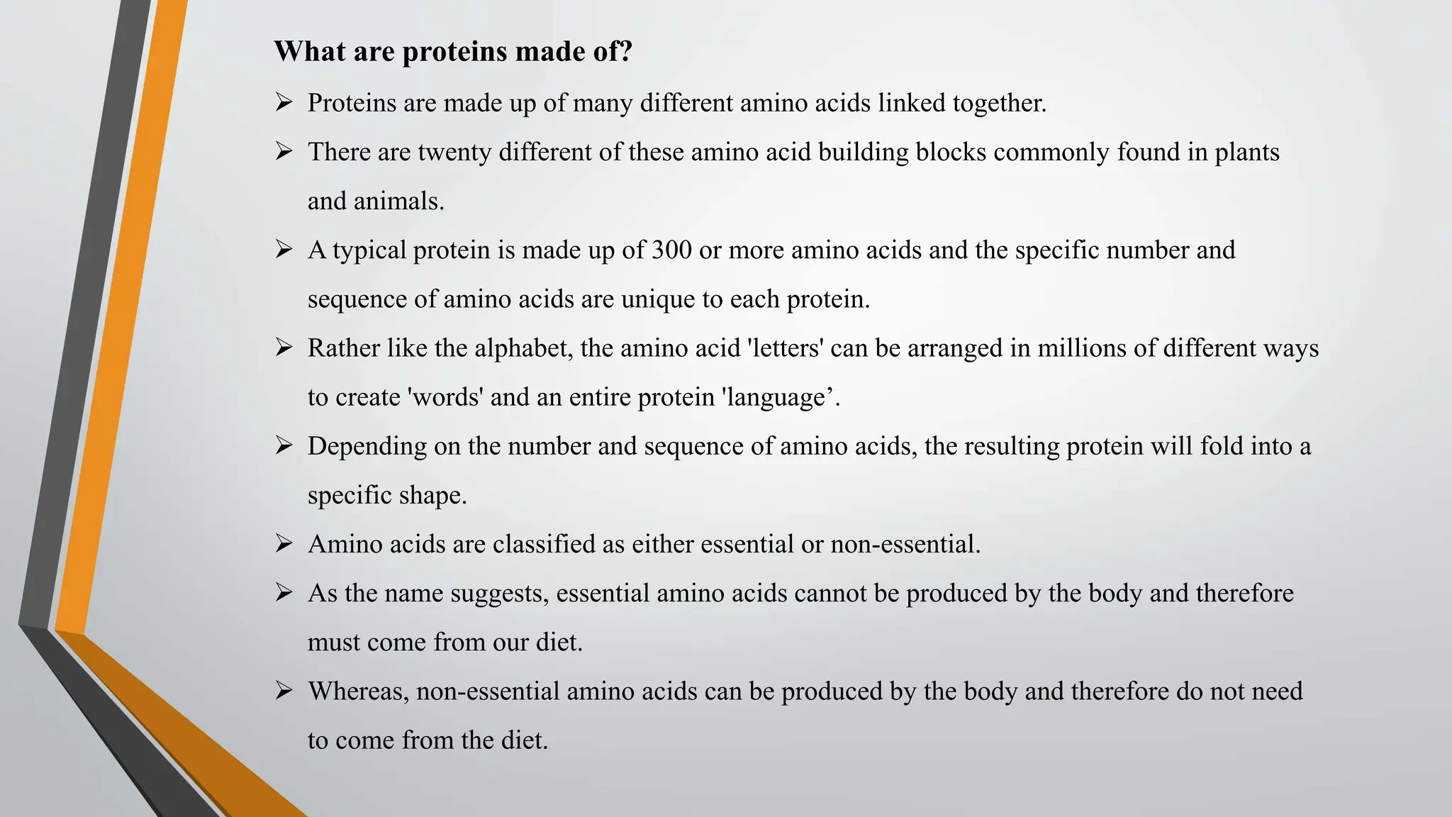 DNA - RNA PROTEINS CENTRAL DOGMA BIOLOGY | PDF