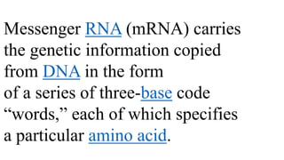DNA, RNA, and PROTEINS | PPTX